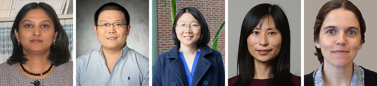 IMS Faculty Members Awarded Internal Funding | Institute of Materials Science